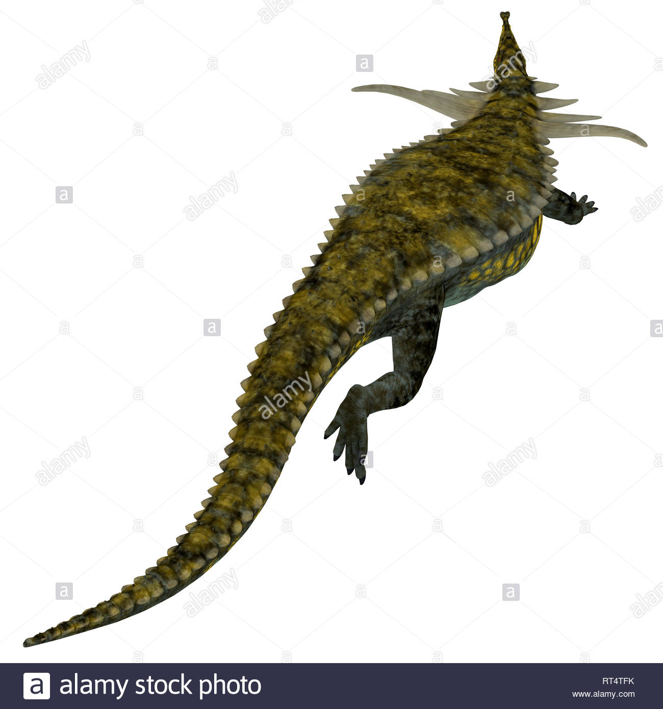 Armored Dinosaur Stock Photos & Armored Dinosaur Stock Images - Alamy