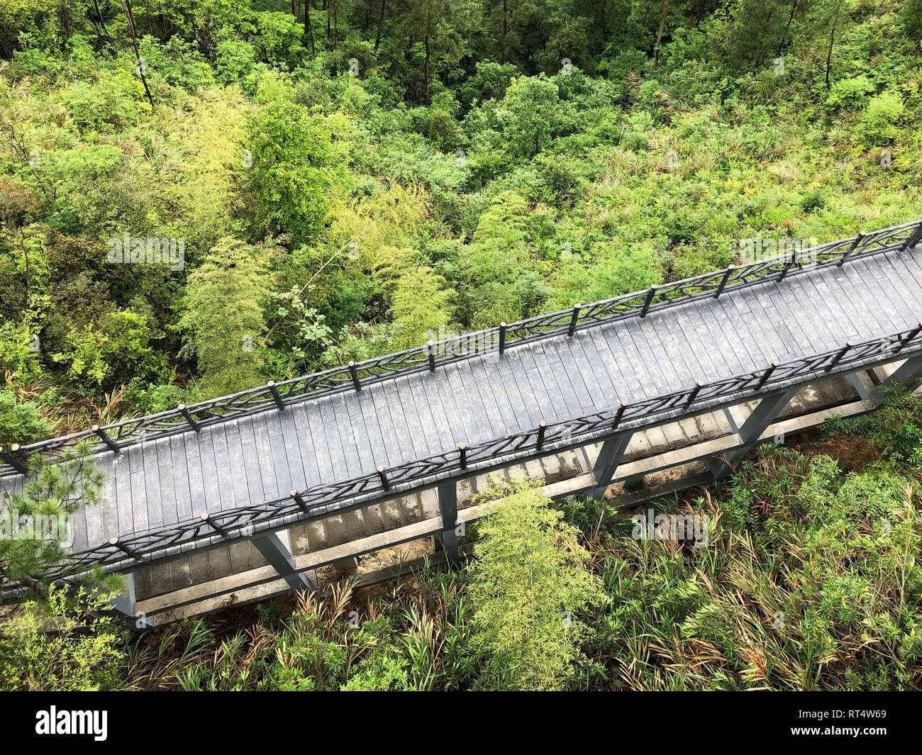 Pedestrian Bridge Over Forest. Foot bridge Across Nature Stock Photo ...