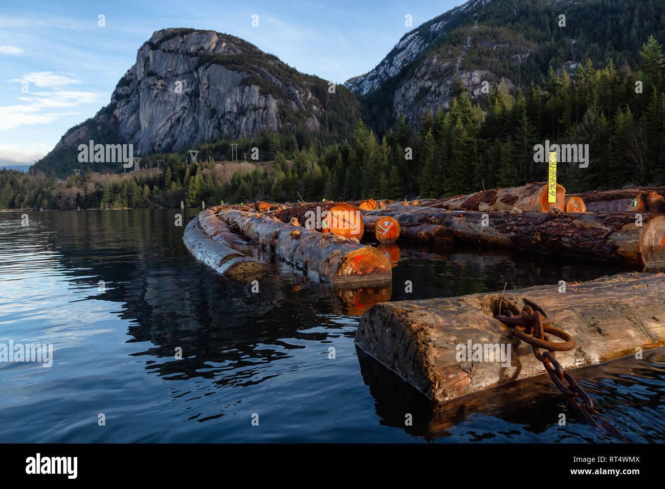 Bundle of logs are floating in the ocean during a cloudy winter day ...