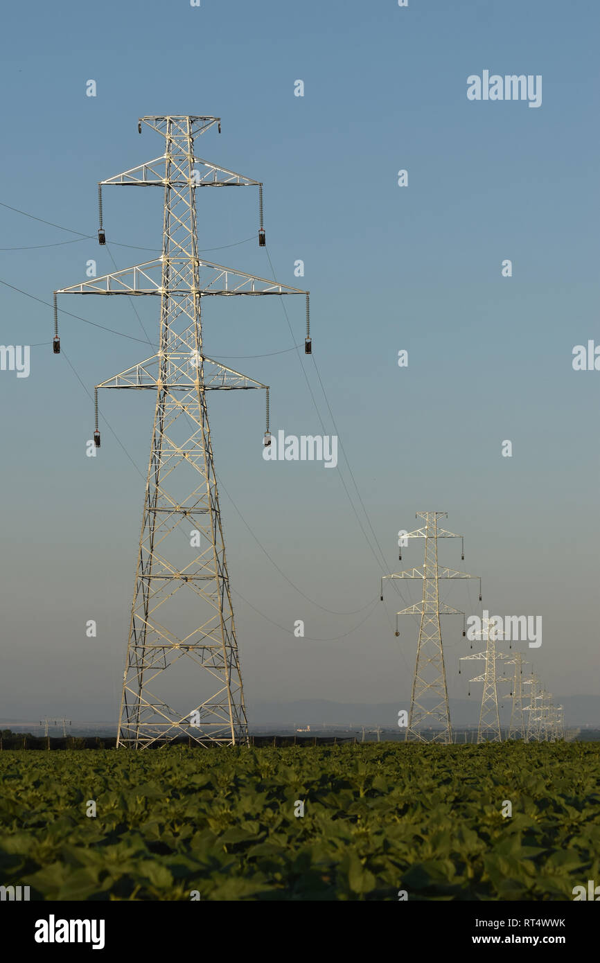 Brand new power lines in construction during dusk time, wiring work in ...