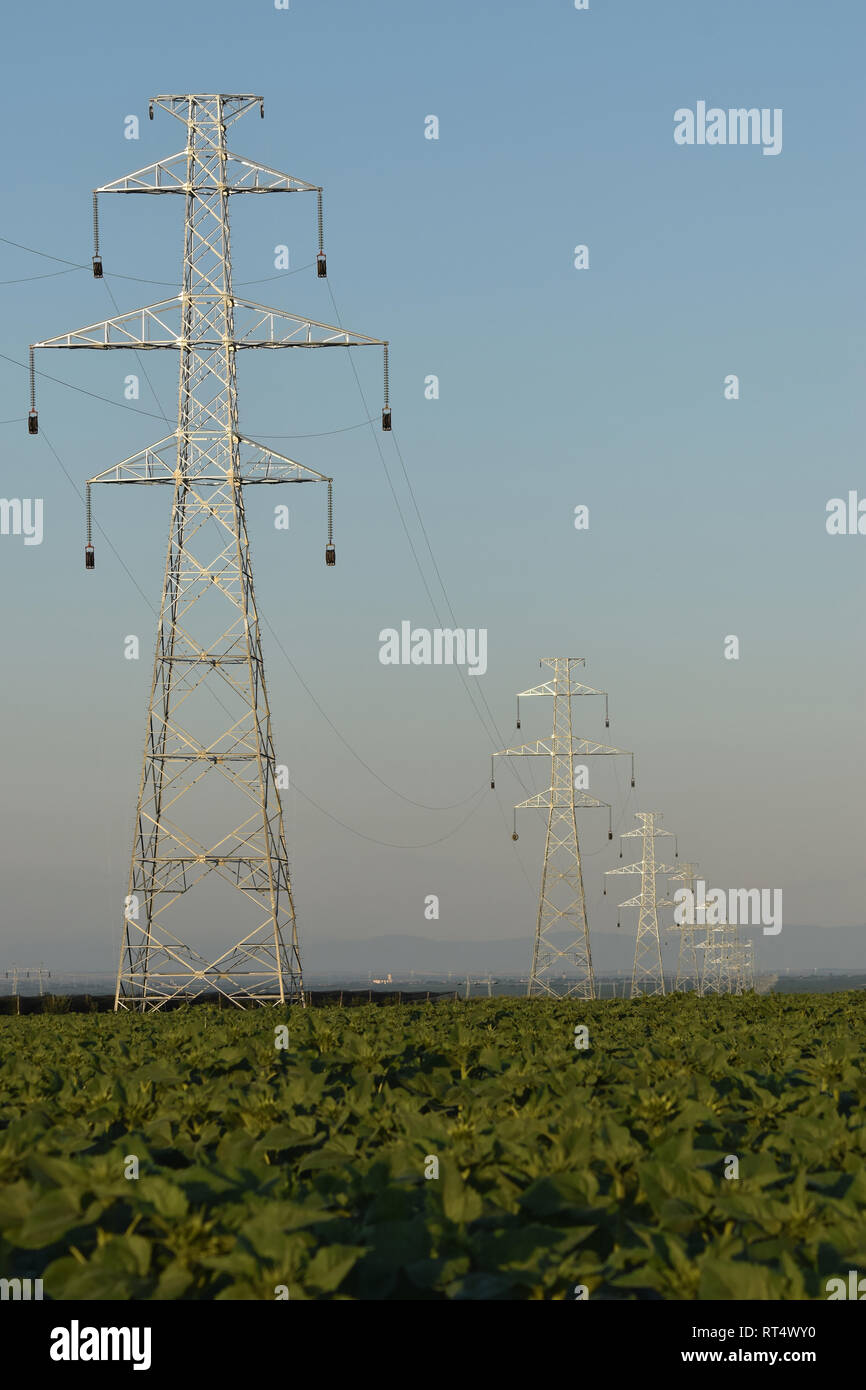 Brand new power lines in construction during dusk time, wiring work in ...