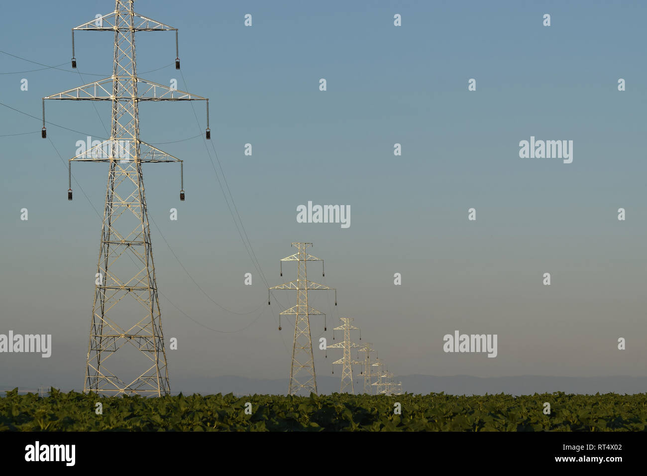Brand new power lines in construction during dusk time, wiring work in ...
