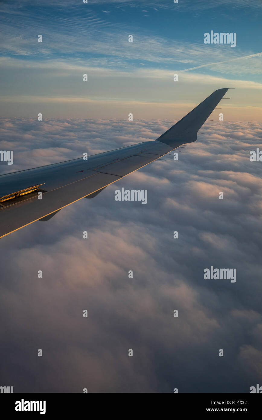 Photo: © 2019 David Levenson Stock Photo - Alamy