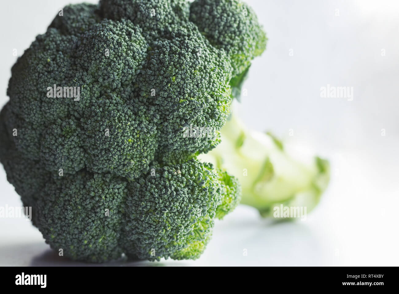 Fresh green broccoli with a stem on white background Stock Photo - Alamy