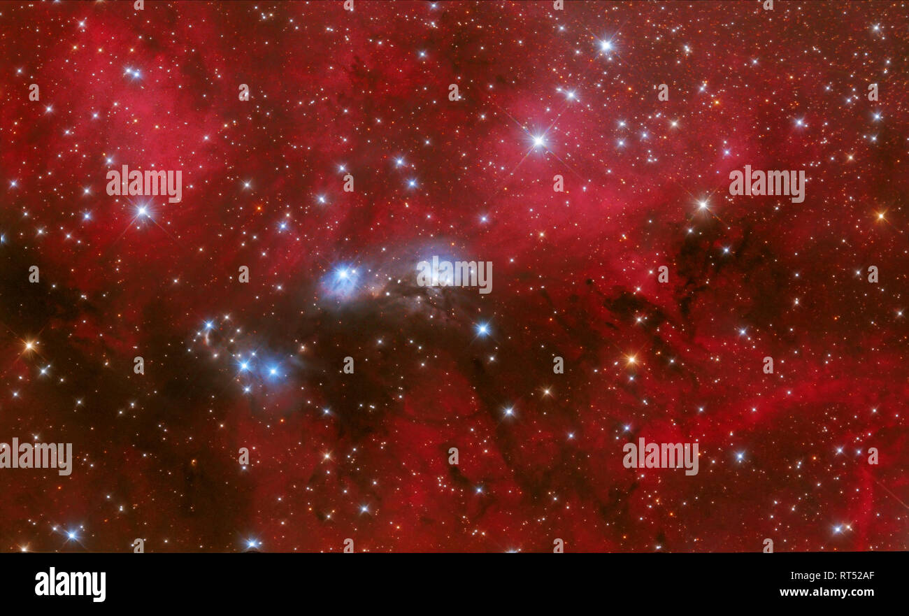 NGC 6914 is a reflection nebula in the constellation of Cygnus Stock ...