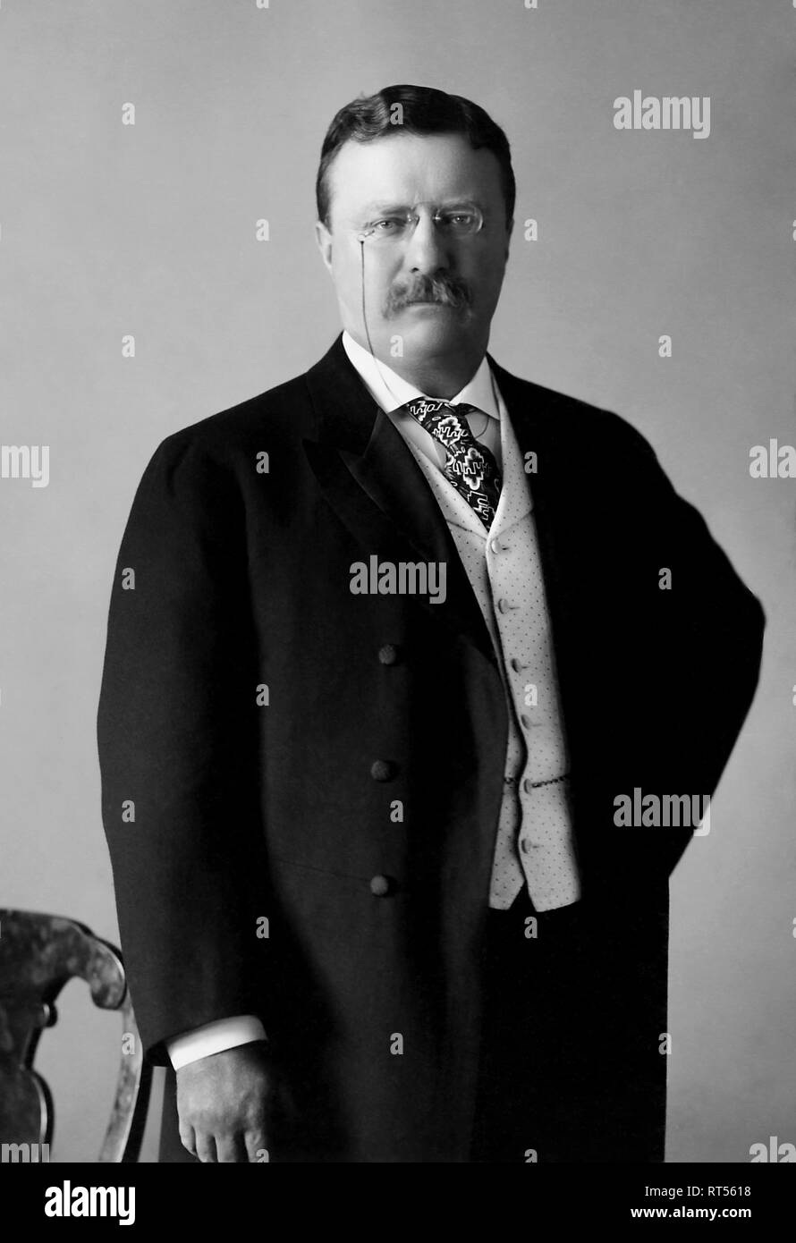 Portrait of President Theodore Roosevelt, dated 1904 Stock Photo - Alamy