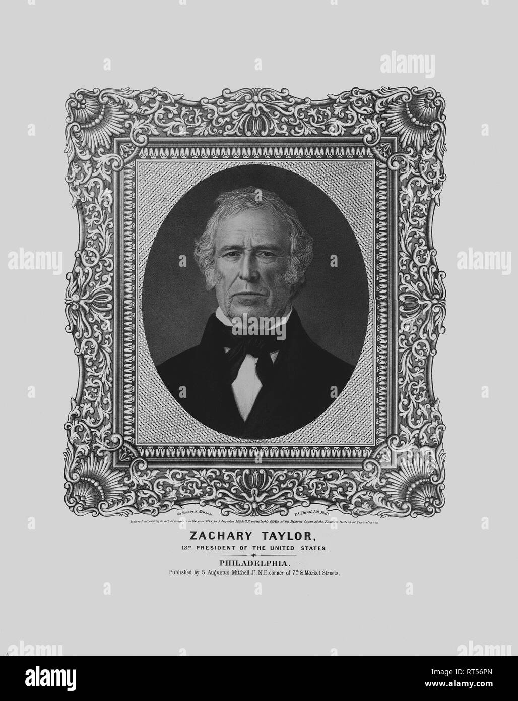 Facts About President Zachary Taylor at Glenn Ledoux blog