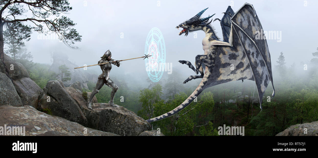 Dragon and female knight Stock Photo - Alamy
