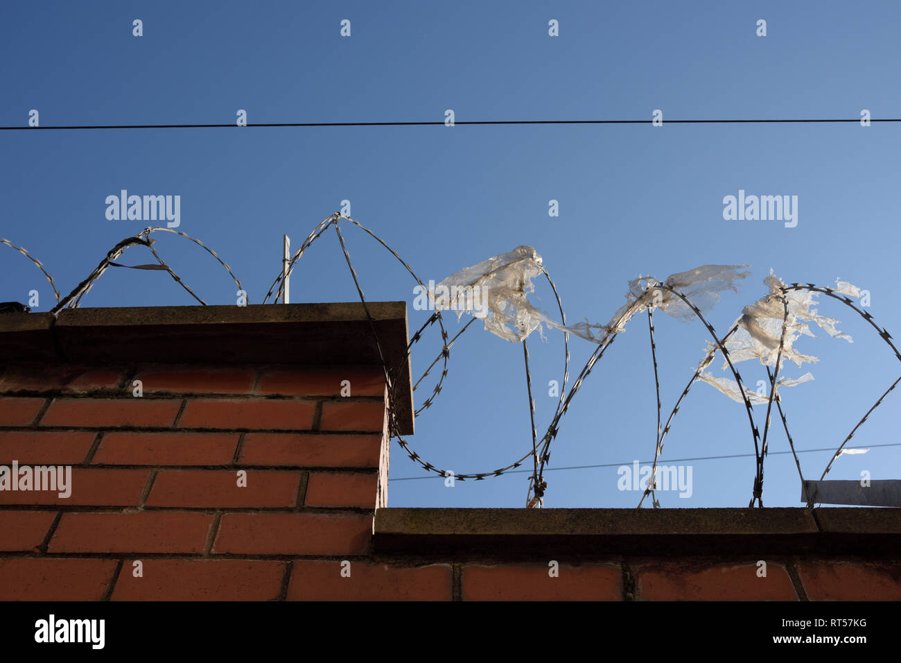 Ripped clear plastic caught on coiled razor wire on wall with clear ...
