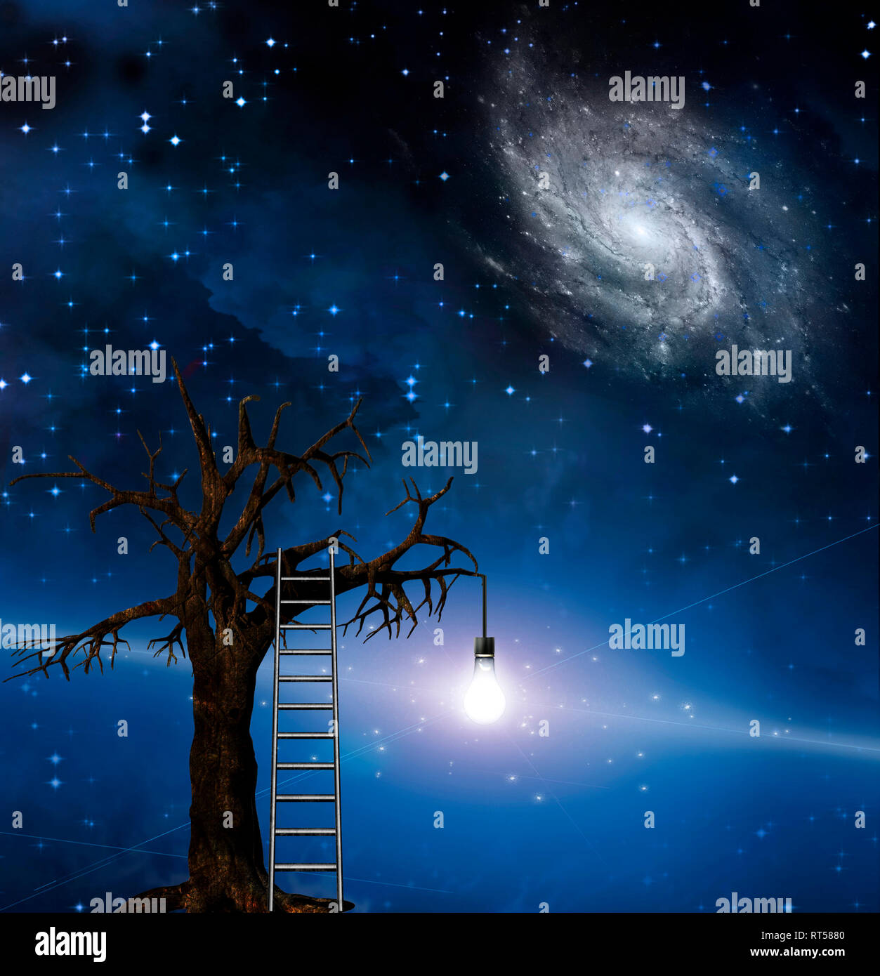 Ladder leans on tree of wisdom Stock Photo - Alamy