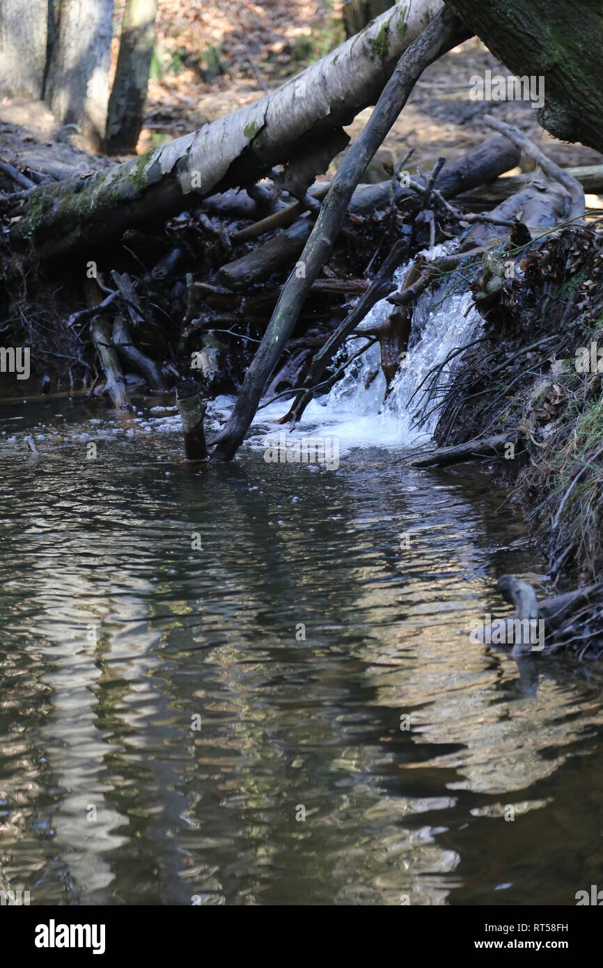 Sun reflect on river water hi-res stock photography and images - Alamy