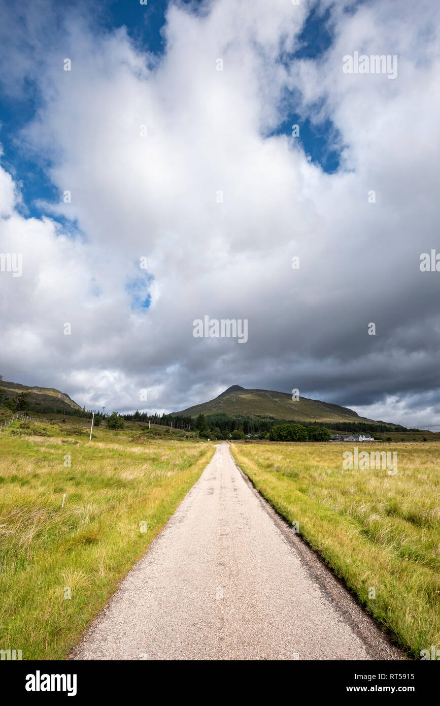 United Kingdom, Scotland, Sutherland, Lairg, Northern Highlands, single ...