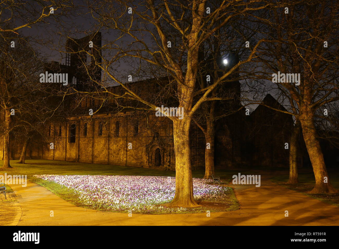 Kirkstall Abbey in Leeds Stock Photo - Alamy