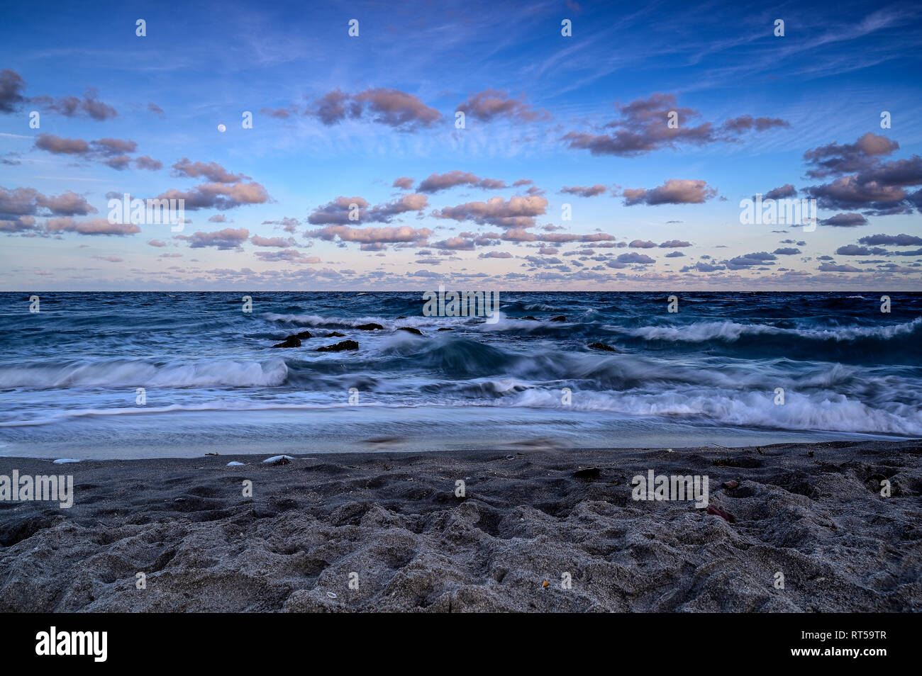 Red reef park florida hi-res stock photography and images - Alamy