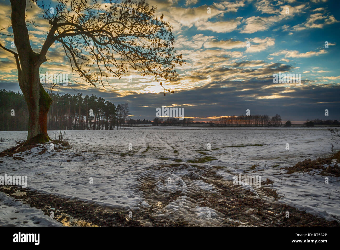 Natural graphic backgrounds Stock Photo - Alamy