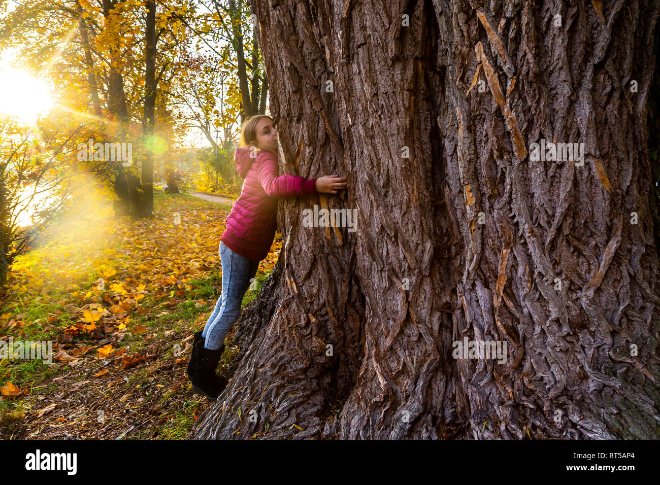 Girl hugging big tree in autumn Stock Photo - Alamy