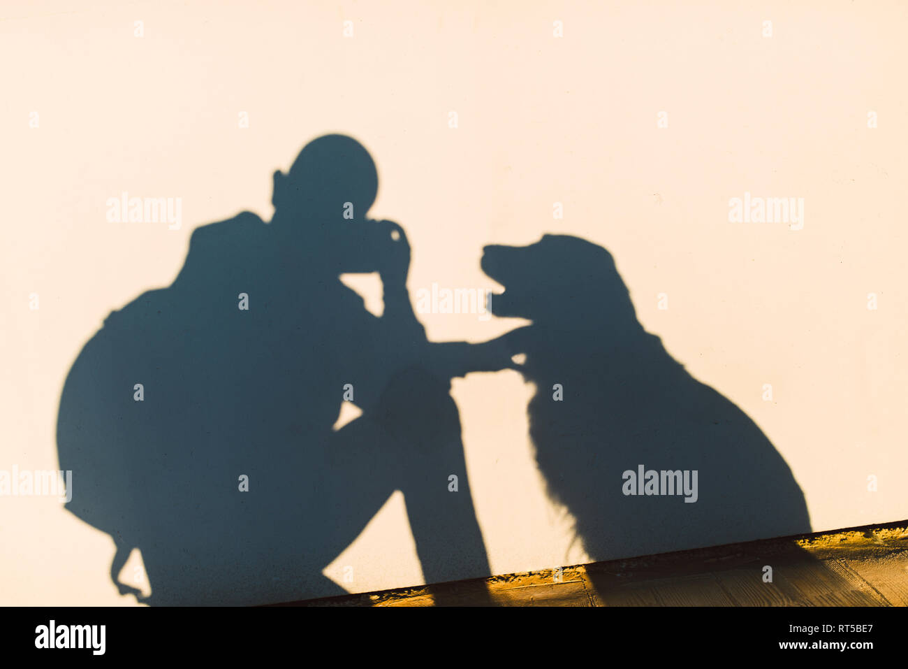 Shadow of dog hi-res stock photography and images - Alamy