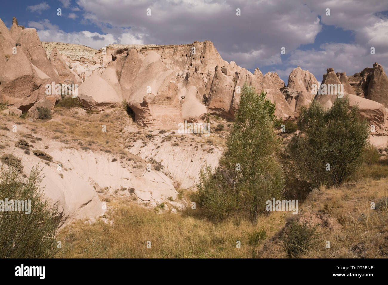 Pedestal and cone shaped eroded rock formations of hardened volcanic ...