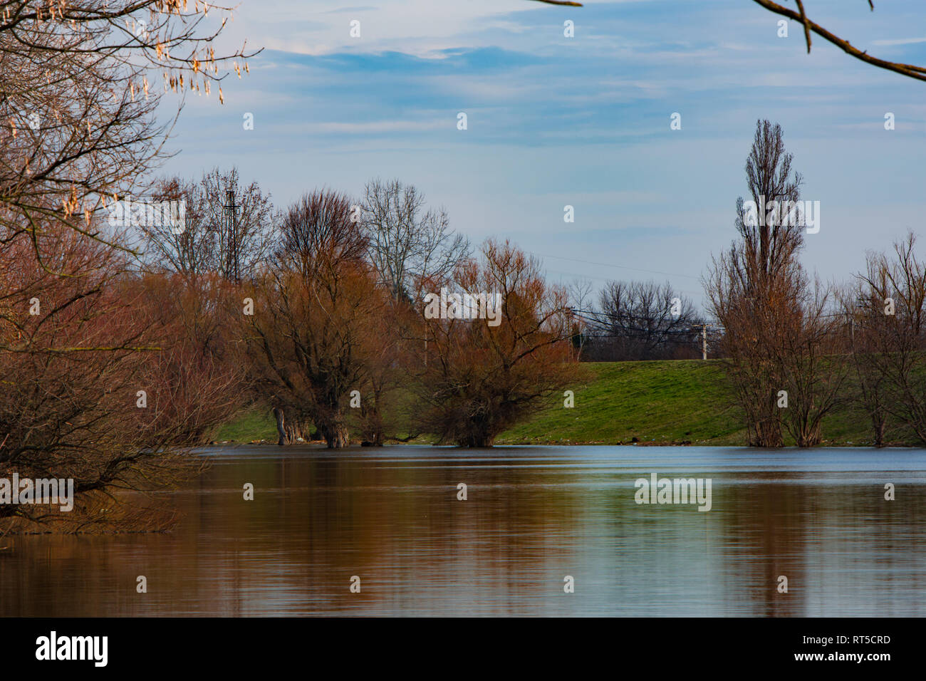 The Danube river and the beautiful reflection of forests in the water ...