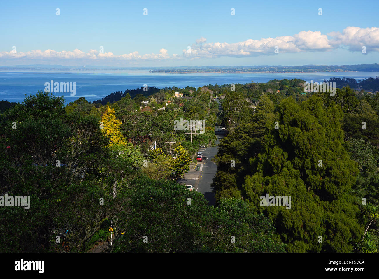 Landscape view of the bay of Auckland from Titirangi, a suburb in the ...