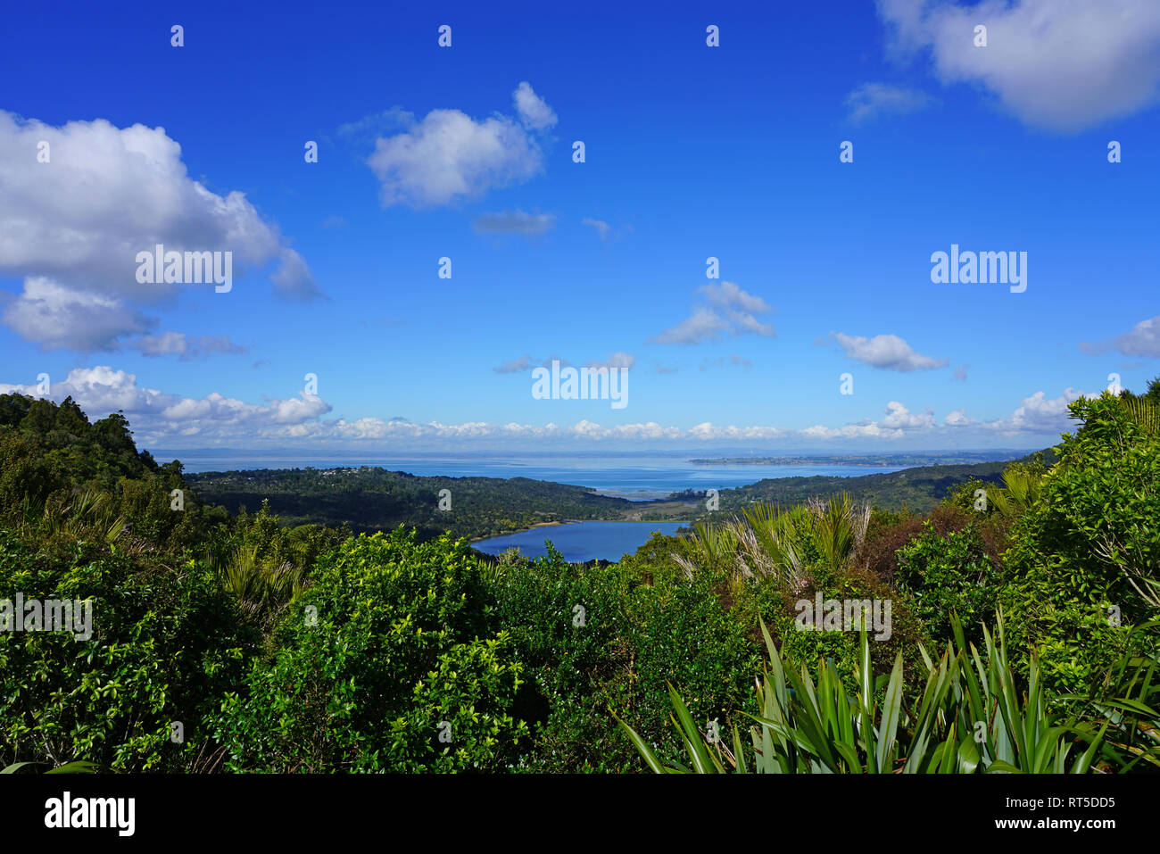 Landscape view of the bay of Auckland from Titirangi, a suburb in the ...