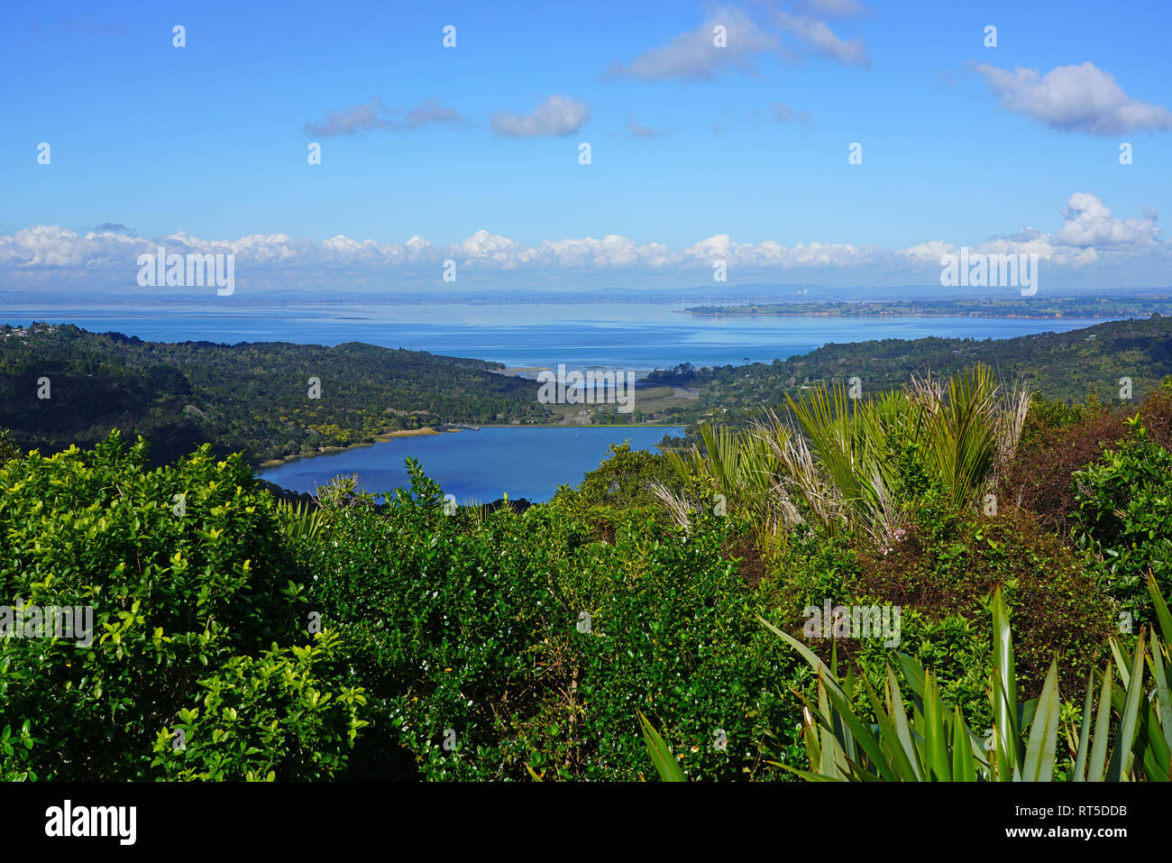 Landscape view of the bay of Auckland from Titirangi, a suburb in the ...