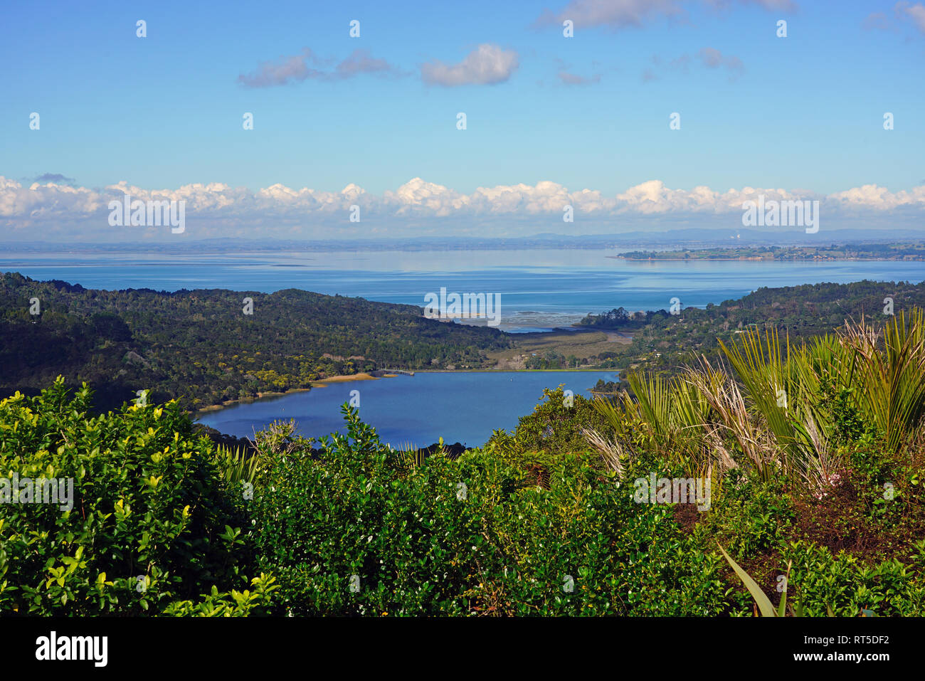 Landscape view of the bay of Auckland from Titirangi, a suburb in the ...