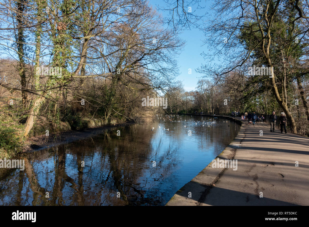 Porter Valley Dam Stock Photo - Alamy
