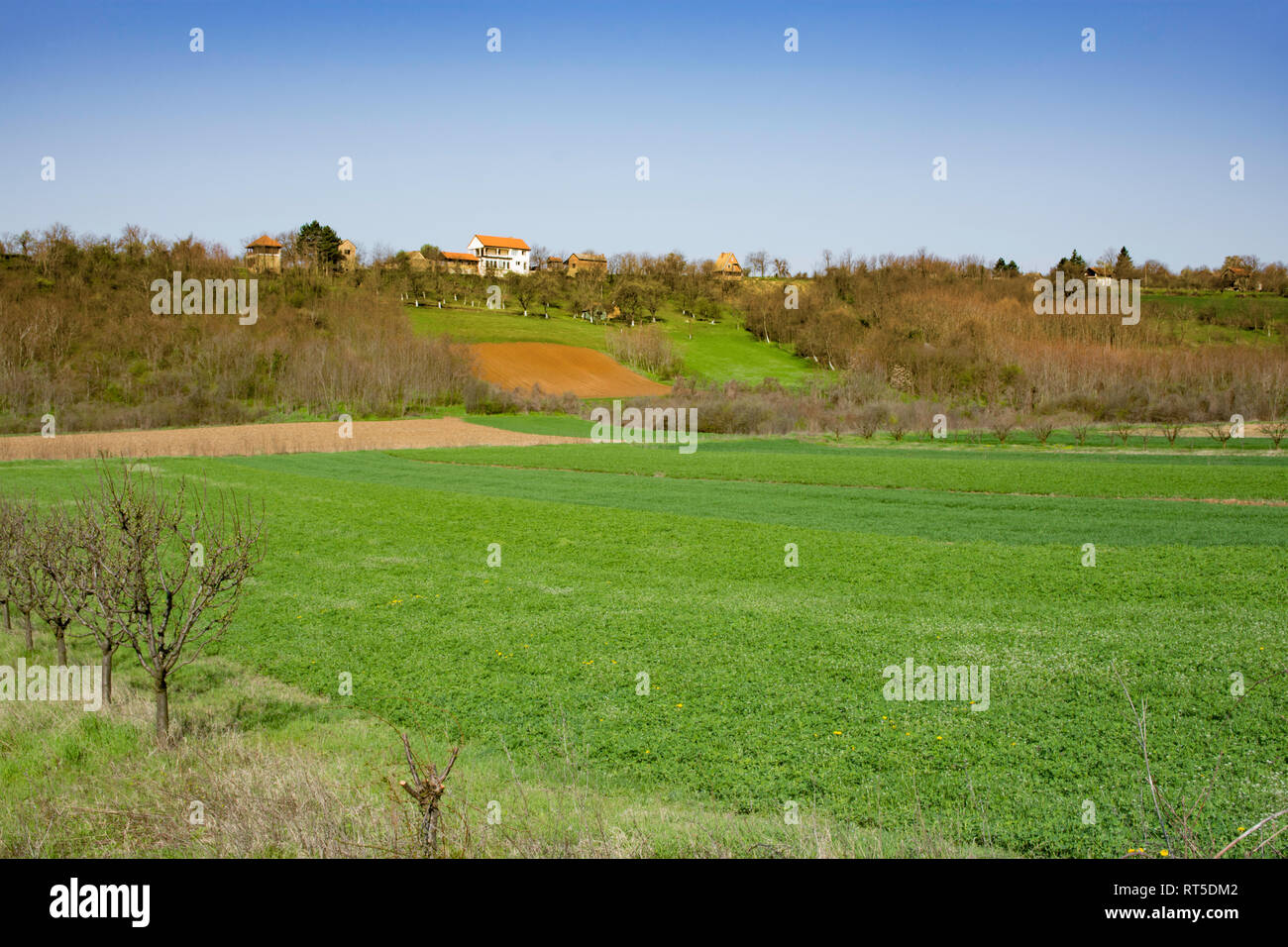 Serbia grain hi-res stock photography and images - Alamy