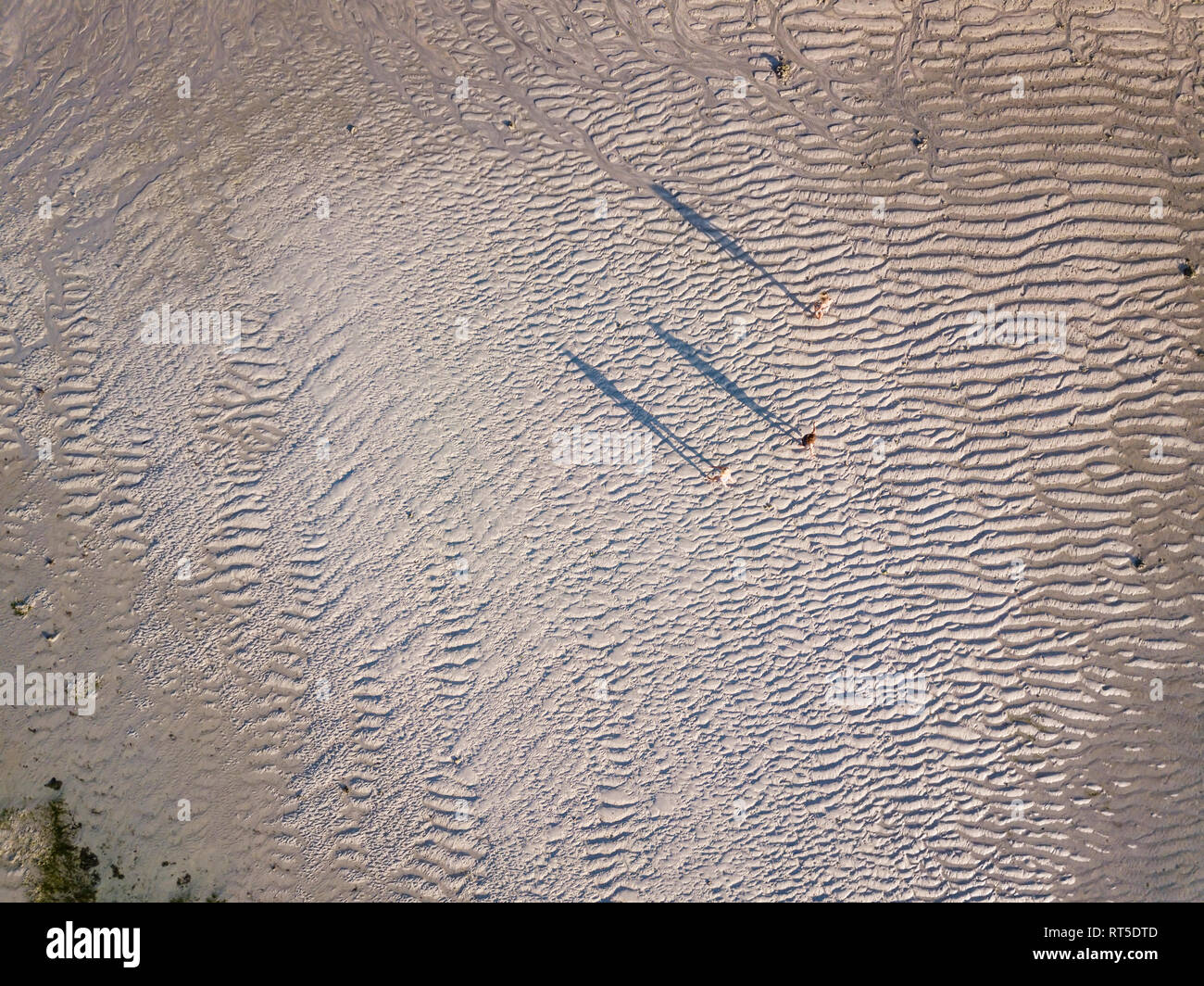 Indonesia, West Sumbawa, Aerial view of Jelengah beach, Scar reef surf ...