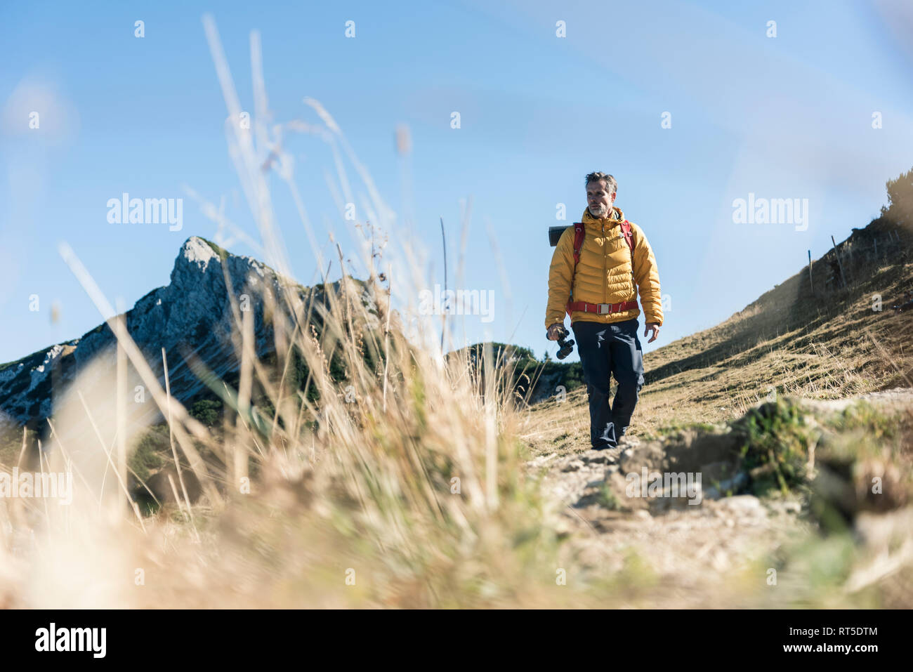 Austria, Tyrol, man hiking in the mountains Stock Photo - Alamy