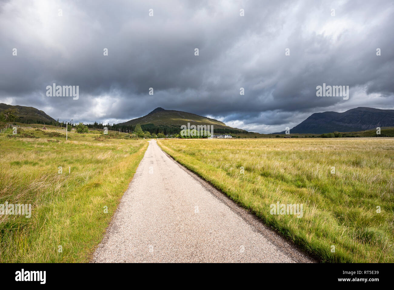 United Kingdom, Scotland, Sutherland, Lairg, Northern Highlands, single ...
