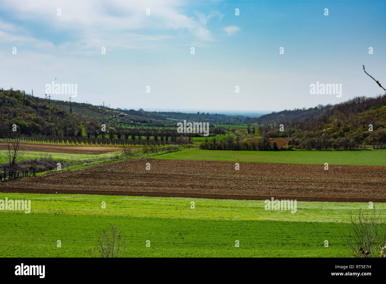 Beautiful arable land in Vojvodina, orchards and agricultural land near ...