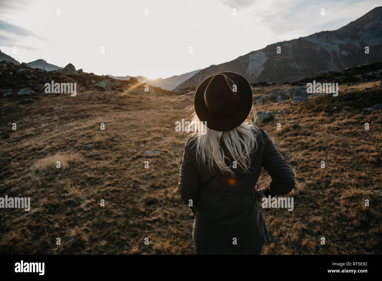 Looking nature hi-res stock photography and images - Alamy