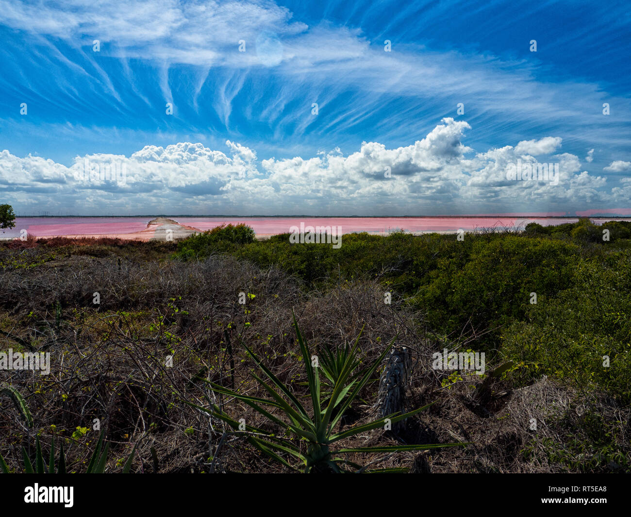 Laguna Colorada in Las Coloradas Yucatan, Mexico Stock Photo - Alamy