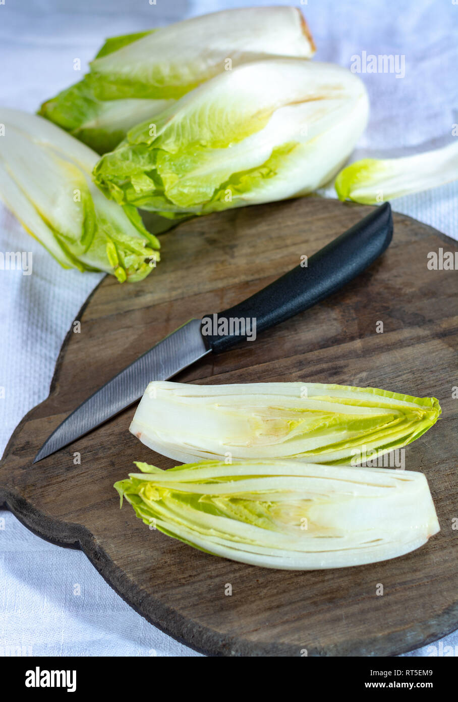 Group of fresh raw green Belgian endive or hicory vegetables, also ...