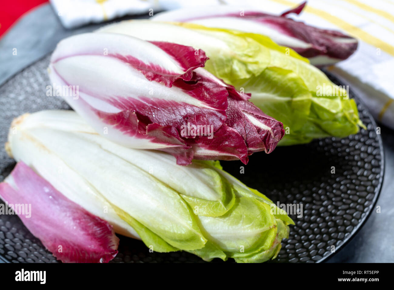 Group of fresh green Belgian endive or chicory and red Radicchio ...