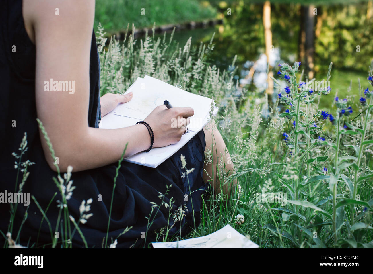 Artist sitting meadow drawing hi-res stock photography and images - Alamy