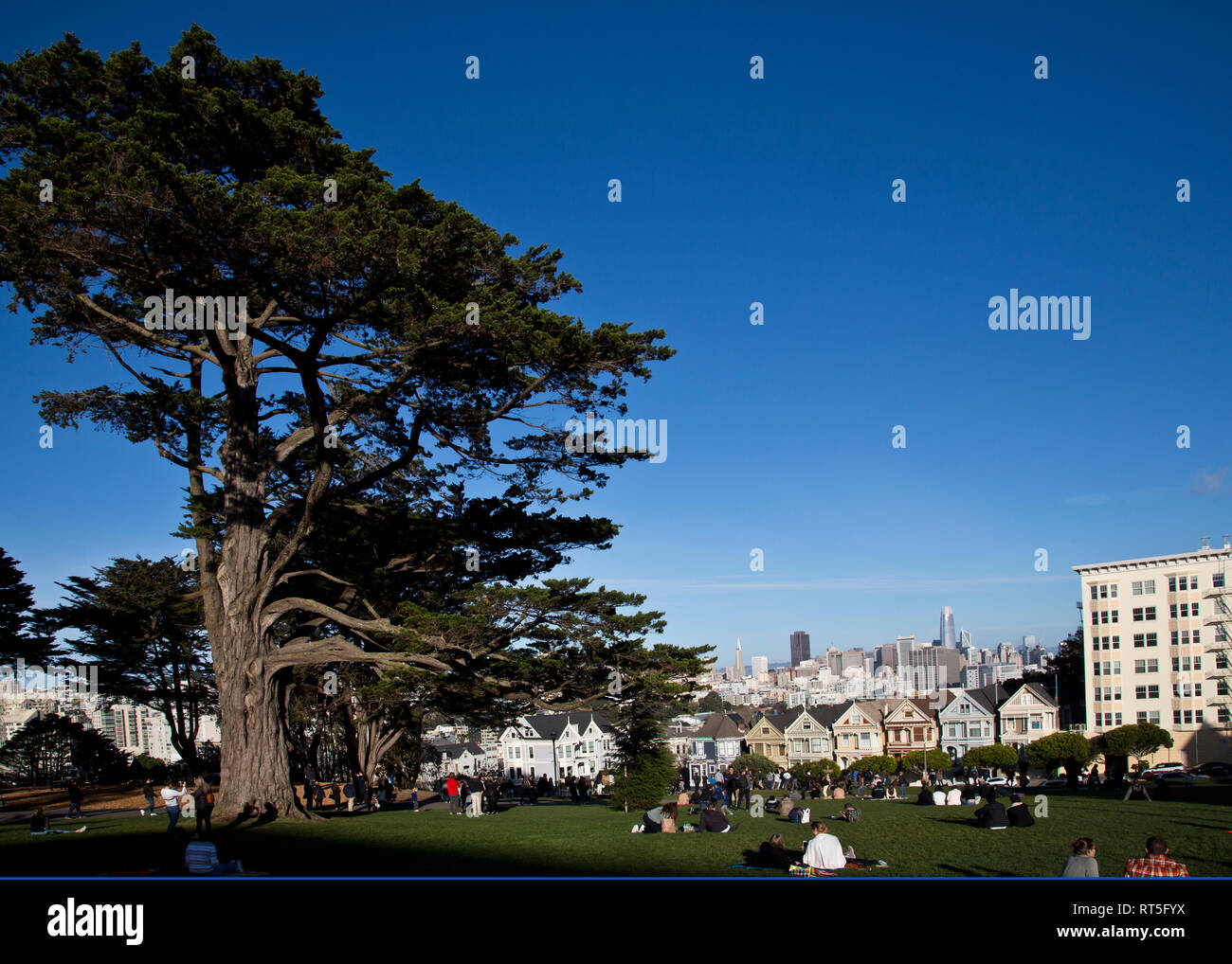 Views of downtown San Francisco from Alamo Park Stock Photo - Alamy