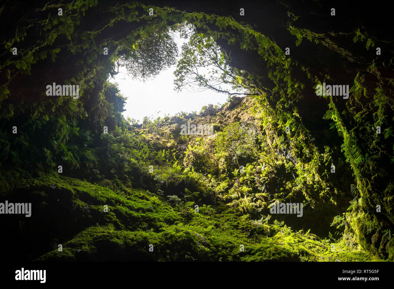 Portugal, Azores, Island of Terceira, Algar do Carvao Stock Photo - Alamy