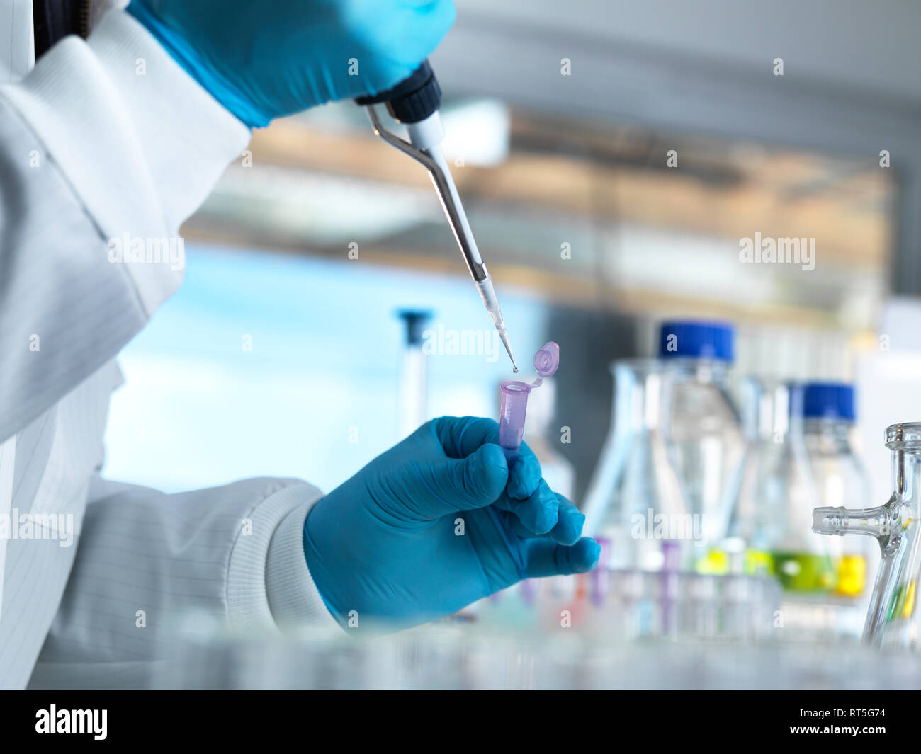 Scientist pipetting a DNA sample into a eppendorf tube for genetic ...