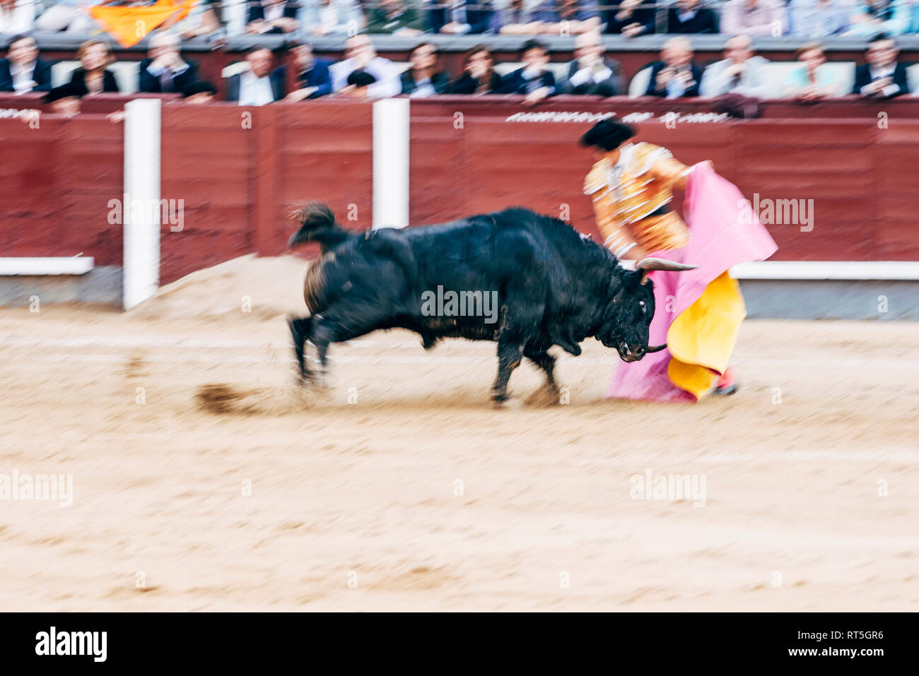 Bullfighting, torero and bull Stock Photo - Alamy
