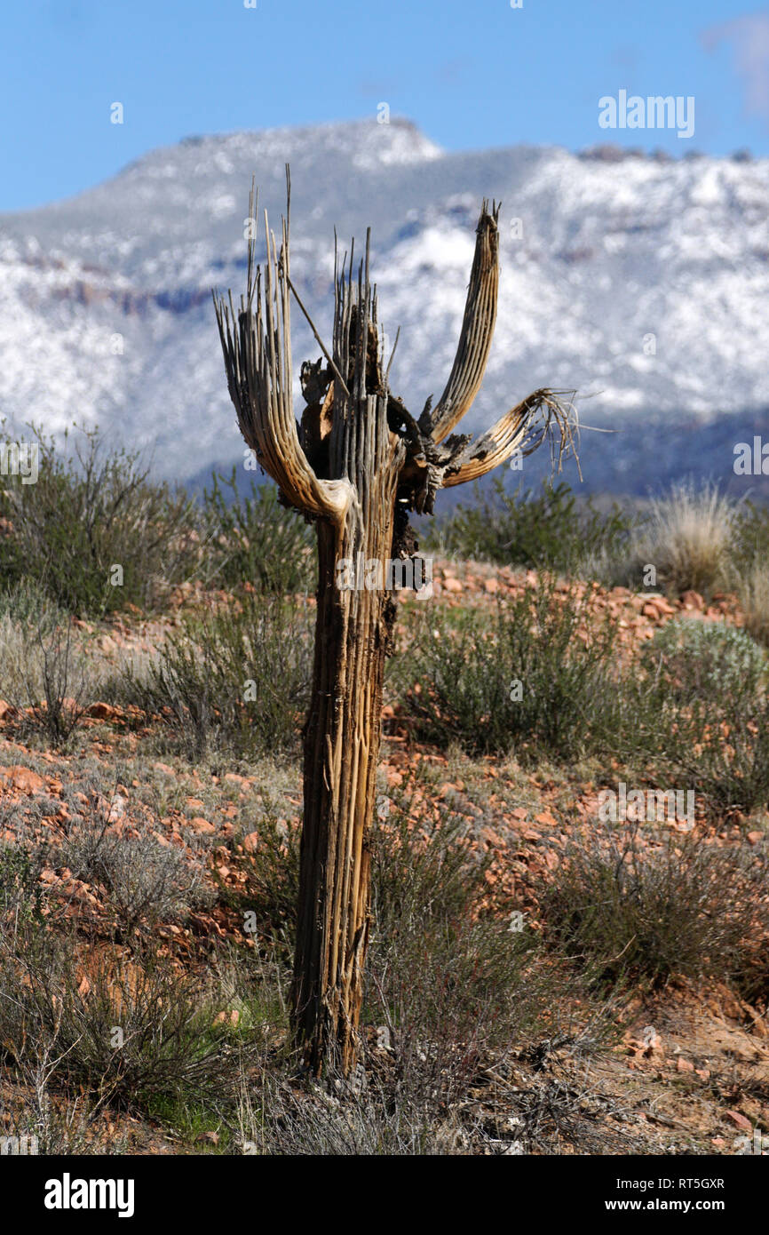 A winter storm brings snow to the Four Peaks Mountain Range as seen ...