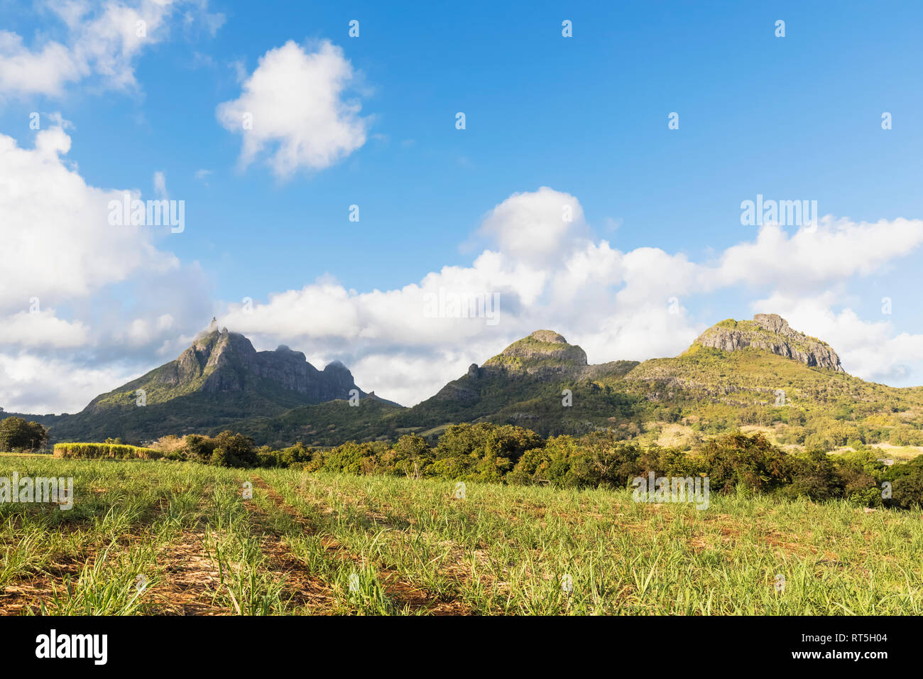 Mauritius, Highlands, sugarcane fields, Mountain Pieter Both left Stock ...