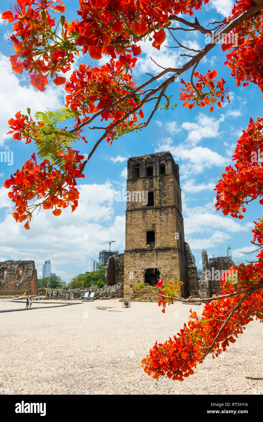 Panama viejo hi-res stock photography and images - Alamy