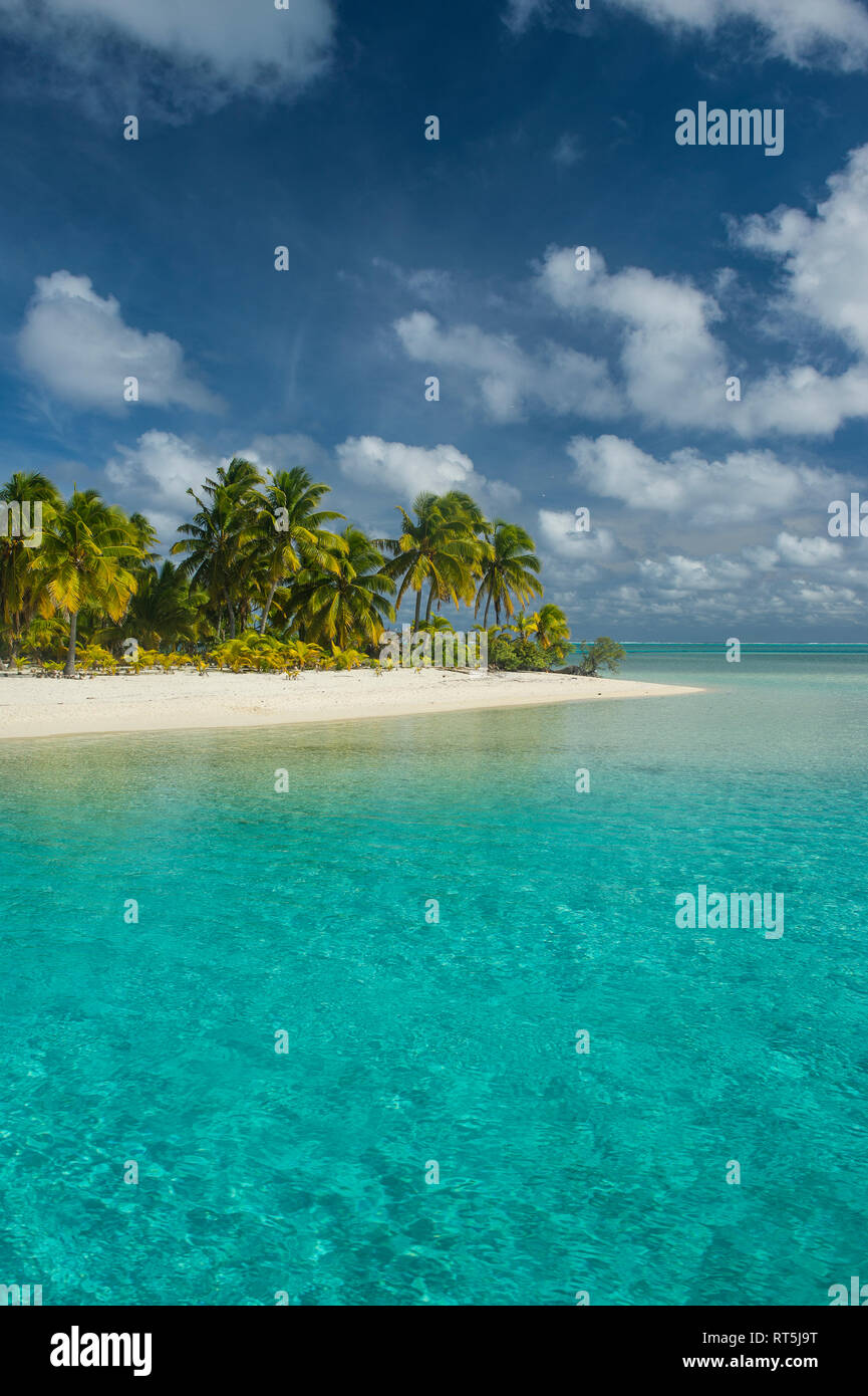 Cook Islands, Rarotonga, Aitutaki lagoon, white sand beach and palm ...