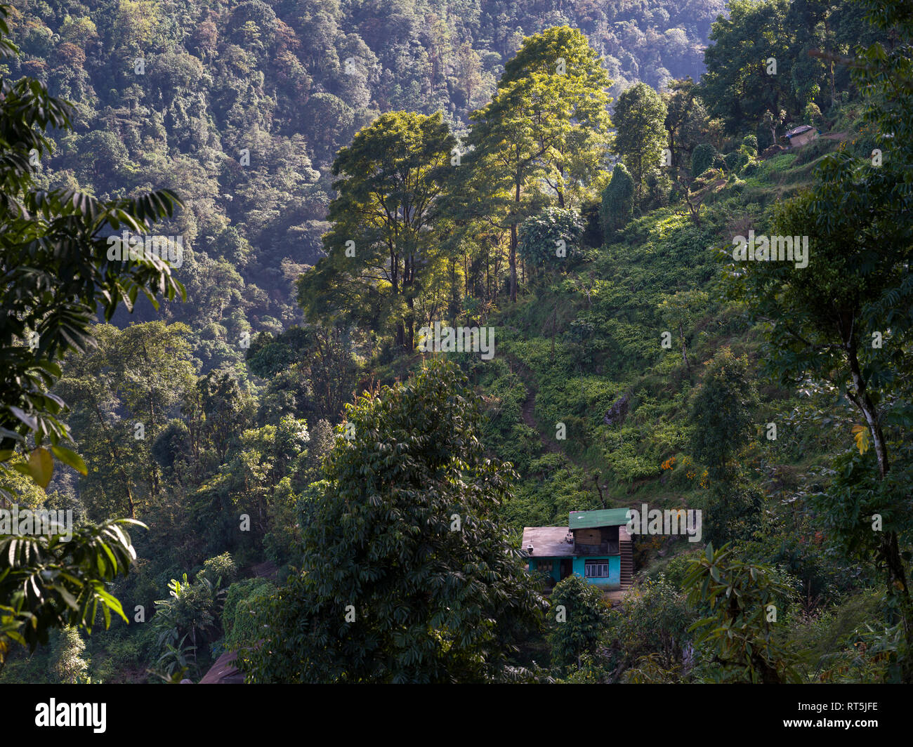 Bhalu hi-res stock photography and images - Alamy