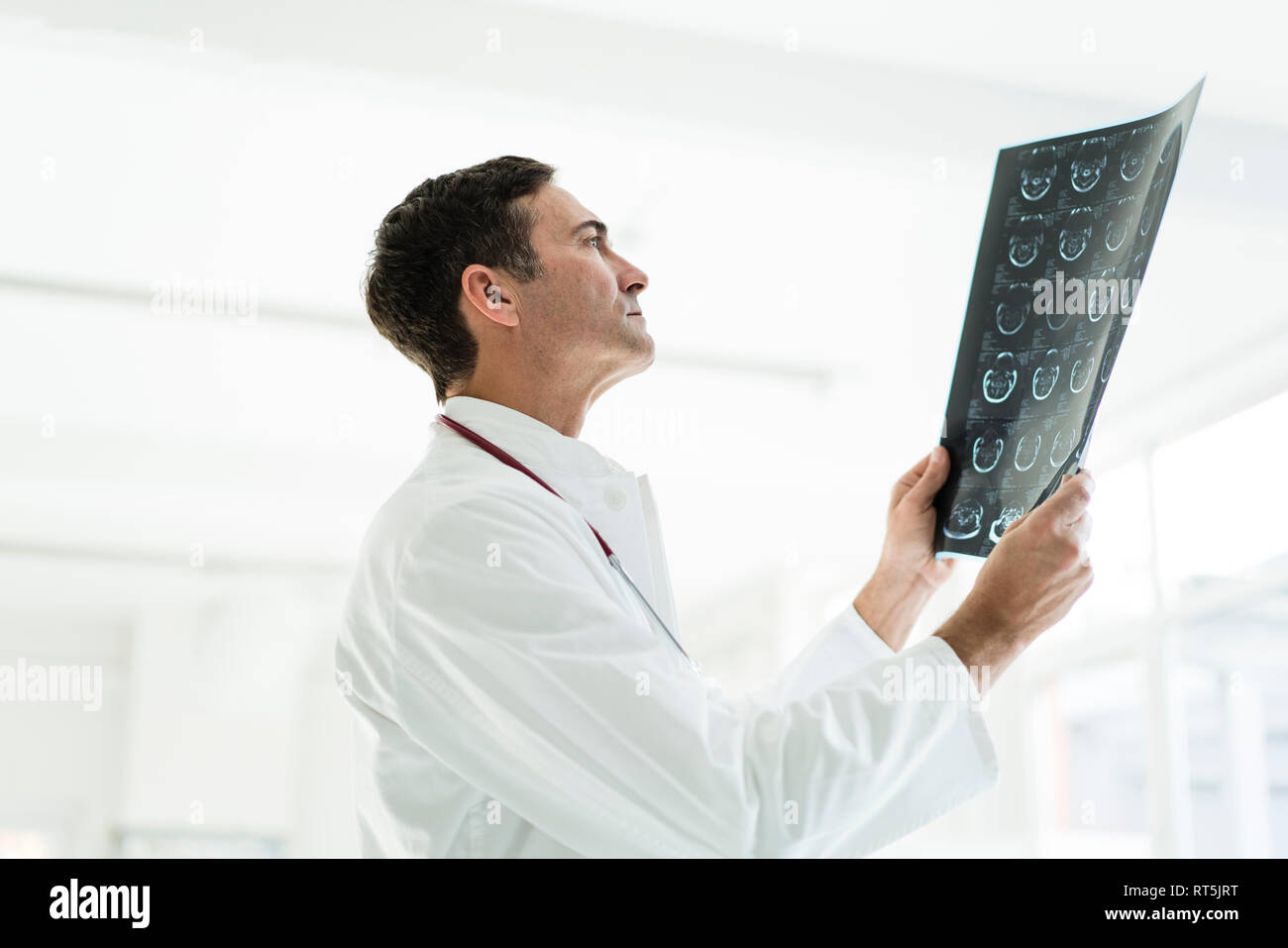 Doctor examining MRT image in medical practice Stock Photo - Alamy
