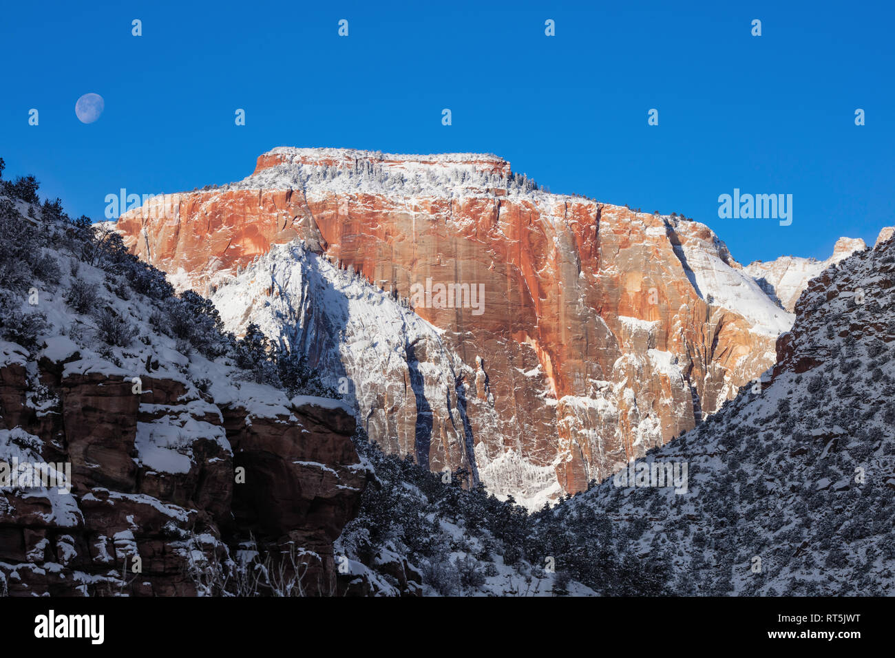 The west temple of zion hi-res stock photography and images - Alamy