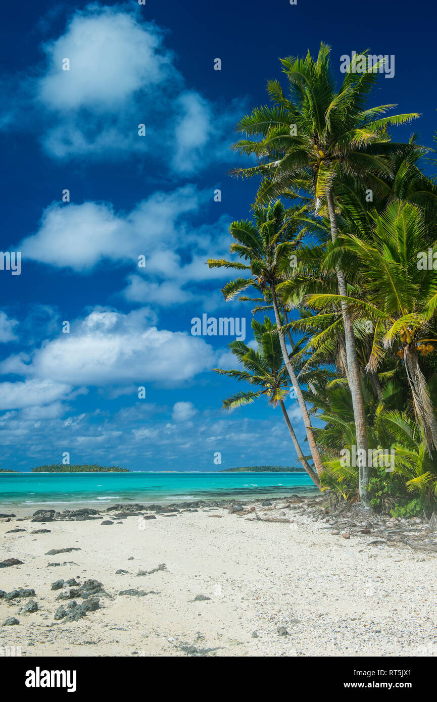 Cook Islands, Rarotonga, Aitutaki lagoon, white sand beach and palm ...